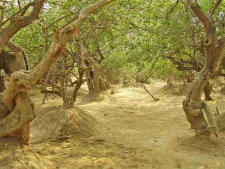 20 Best Places to Visit in Vrindavan – Top Attractions